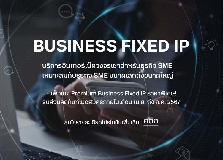 Business Fixed IP